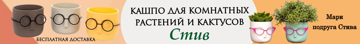 Все предложения / 24-OK.RU - Клуб уСПешных приобретений